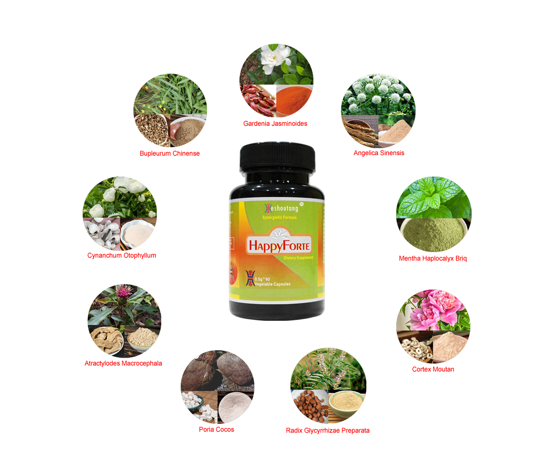 Revitalize Your Energy: HappyForte - Your Path to Natural Wellness ...